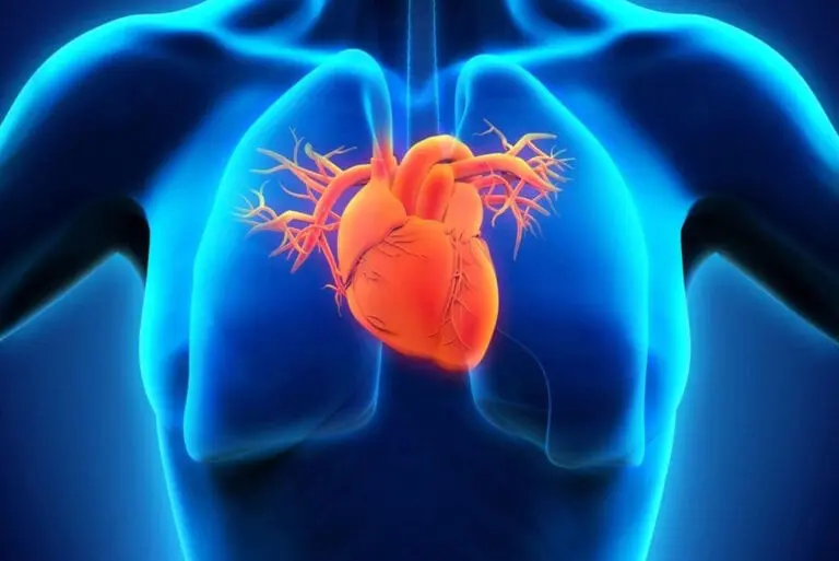 Ultra Cardiac Profile© - American Metabolic Laboratories